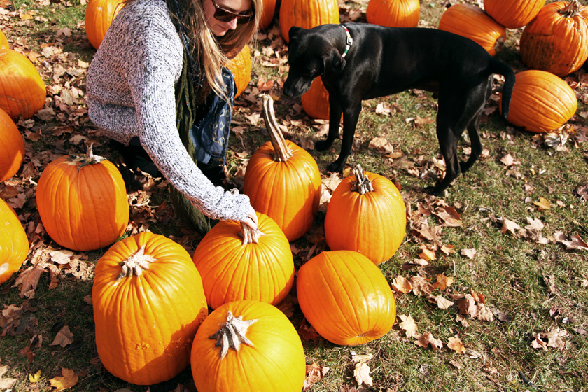 Pumpkin Picking at Round the Bend Farm with the Buick Encore
