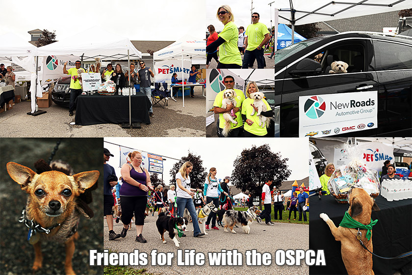 Friends for Life with the OSPCA