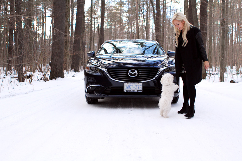 King Eldred Woodlands with the Mazda6