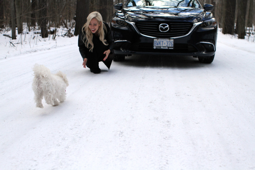 King Eldred Woodlands with the Mazda6